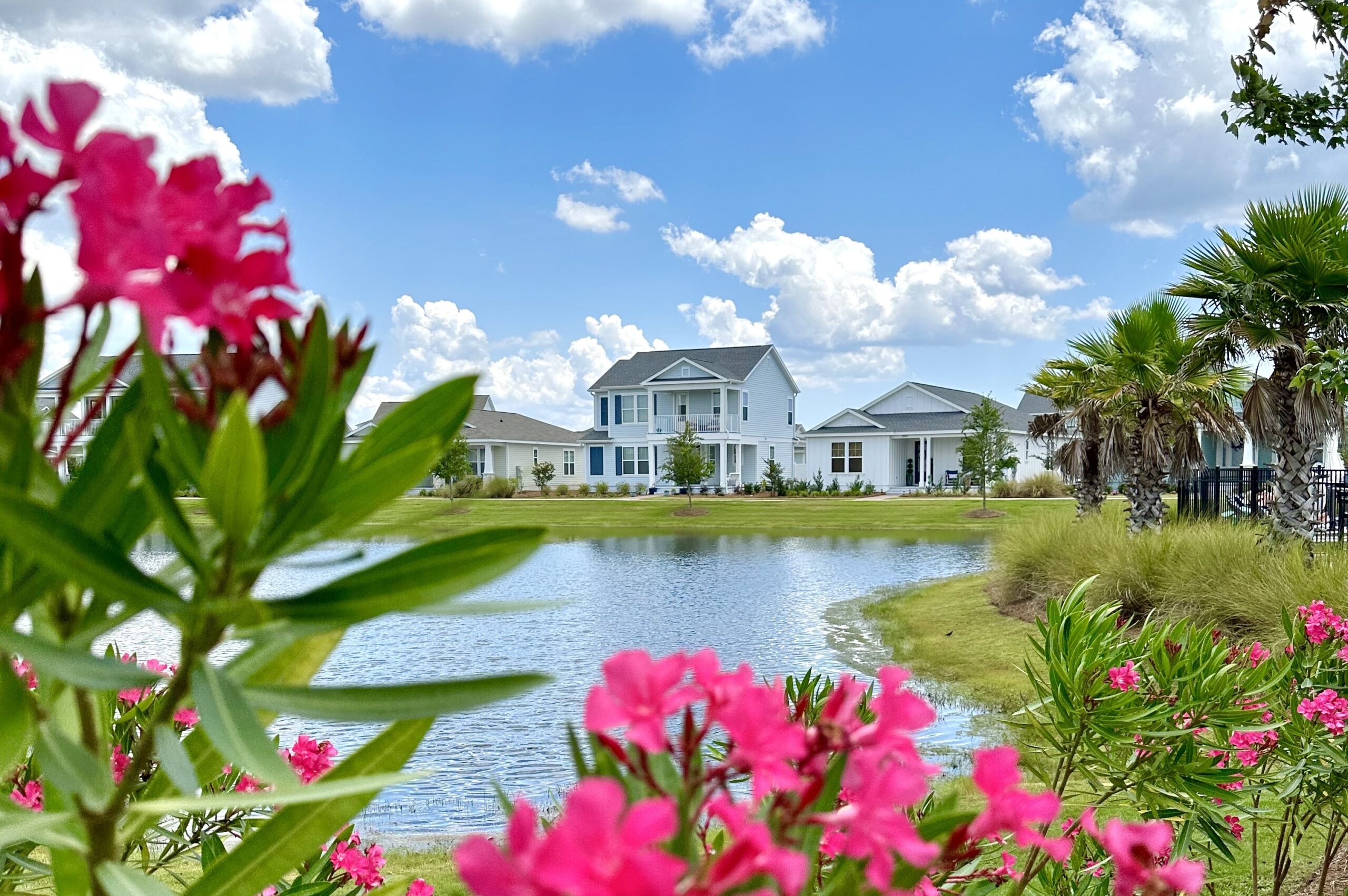 The Ultimate SweetBay Summer Guide - SweetBay